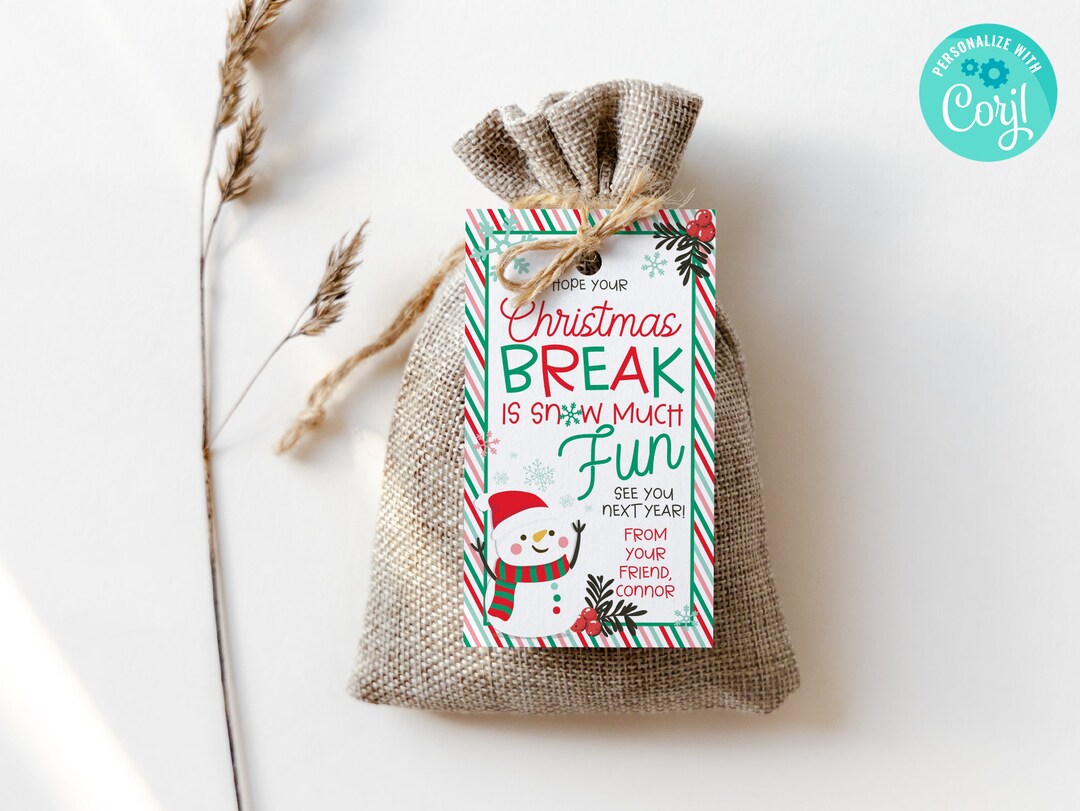Snow Much Fun Editable Gift Tag | Printable Christmas Gift Tag, Class ...