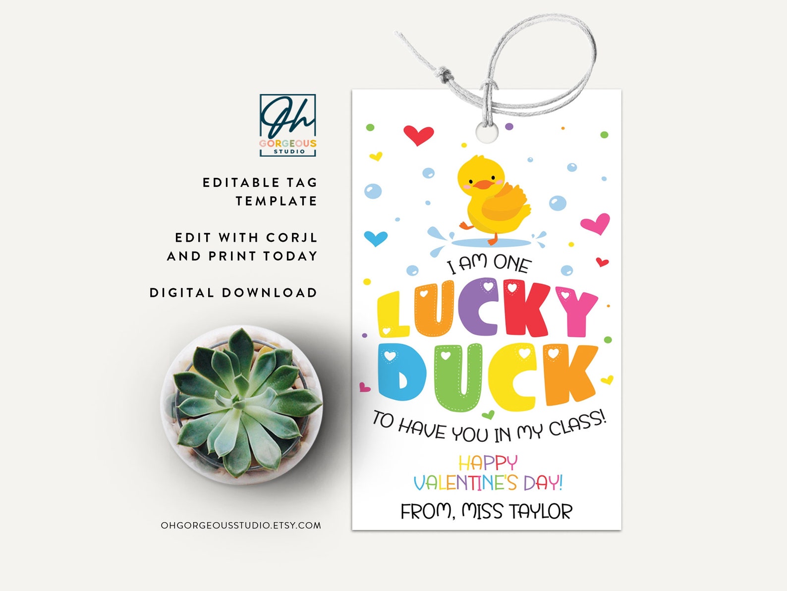 Lucky Duck Valentine's Day Teacher Tag: Editable Classroom Gift (PDF ...