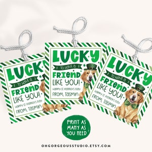 Editable St. Patrick's Day Gift Tag, Cute Puppy With Green St Patricks ...