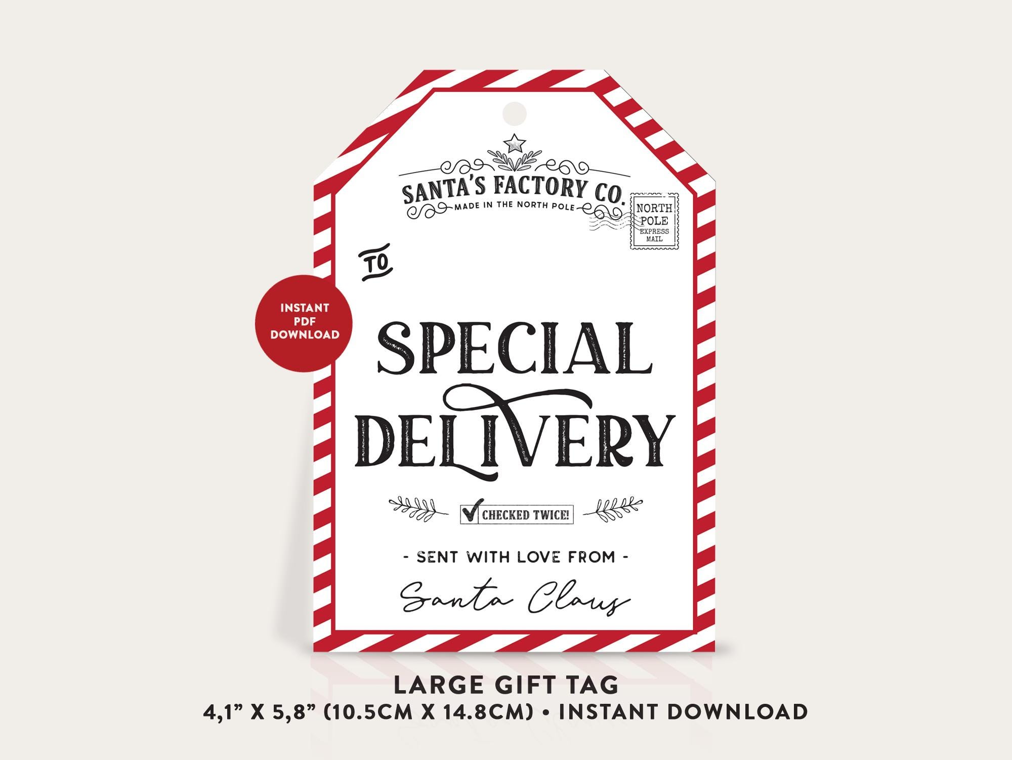 Special Delivery From Santa Gift Tag Printable (PDF) - Etsy