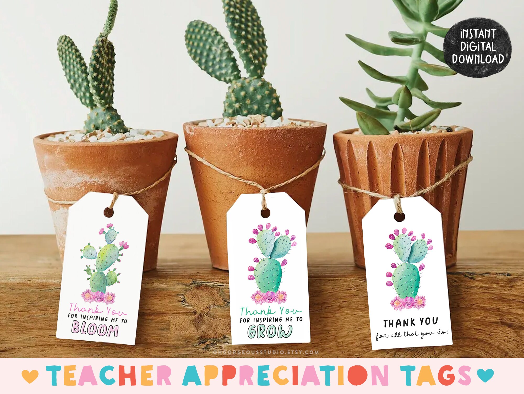 Red Apple Thank You Tag: Teacher Appreciation Gift (digital Download ...