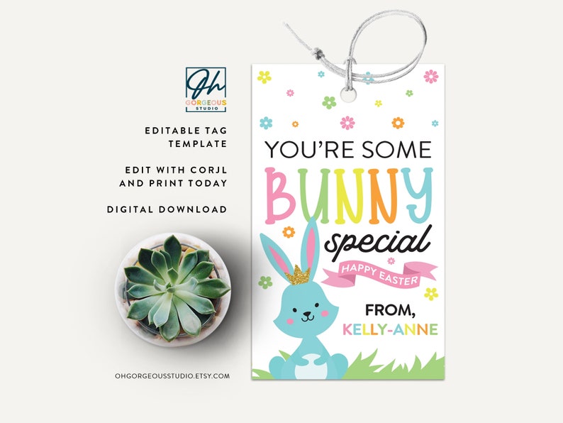 Printable Easter Bunny Gift Tag: Editable Favor Tag (PDF) - Etsy