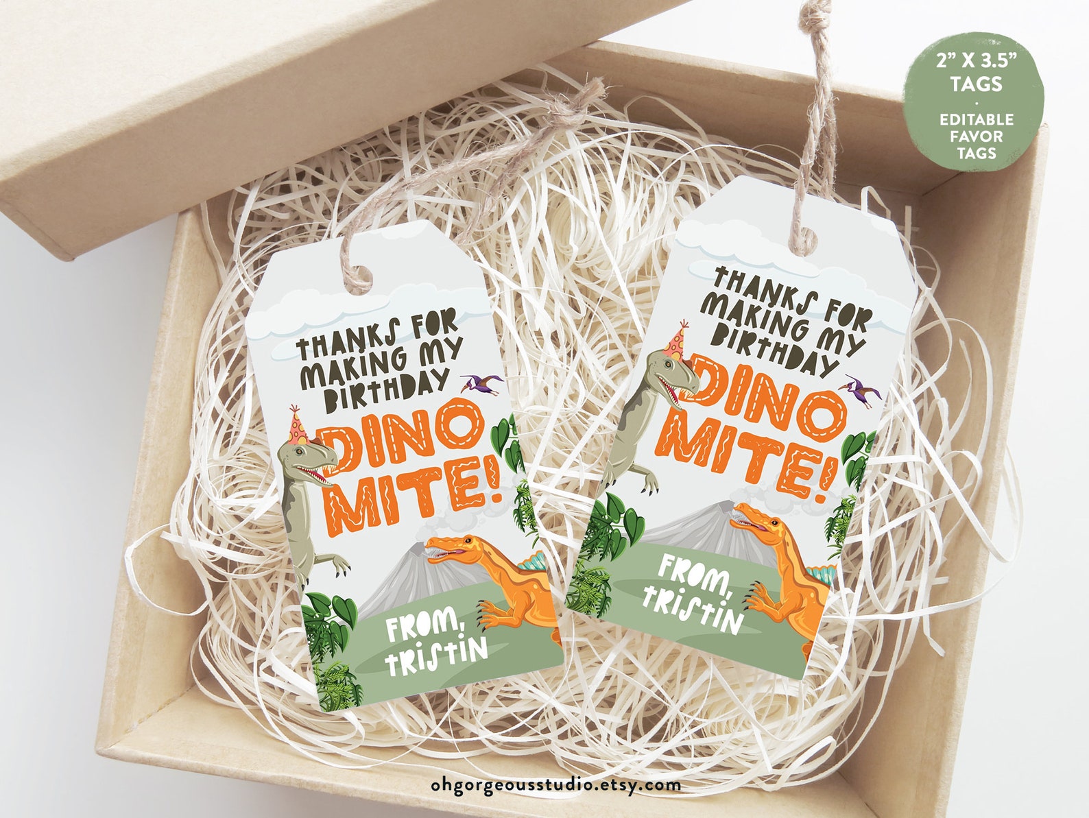 Dino Birthday Thank You Tags: Editable Dinosaur Party Favors (digital ...