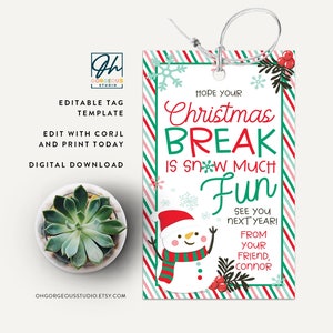 Snow Much Fun Editable Gift Tag | Printable Christmas Gift Tag, Class ...