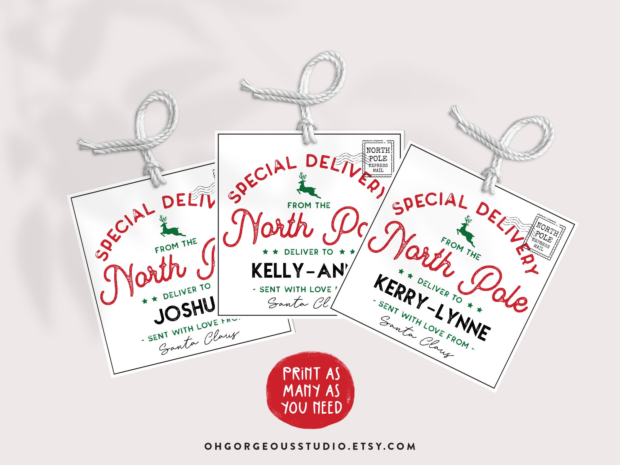 Printable North Pole Special Delivery Tag Template Editable Santa Gift ...