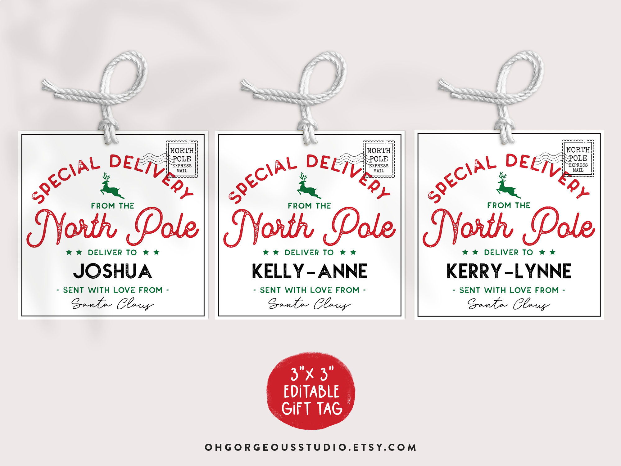 Printable North Pole Special Delivery Tag Template Editable Santa Gift ...