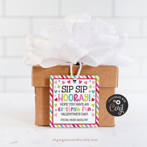 Ex-straw Fun Valentine's Day Gift Tag | Sip Sip Hooray Valentine Hang ...
