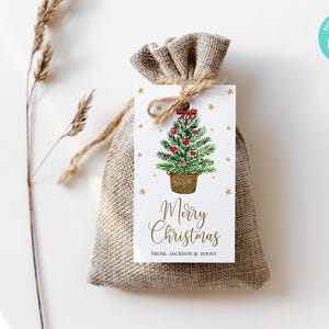 Christmas Tree Gift Tag Template: Printable Holiday Favor (digital) - Etsy