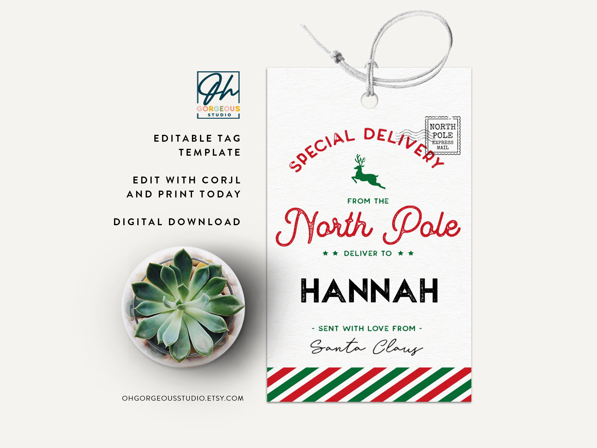 Printable North Pole Special Delivery Tag Template Editable Santa Gift ...