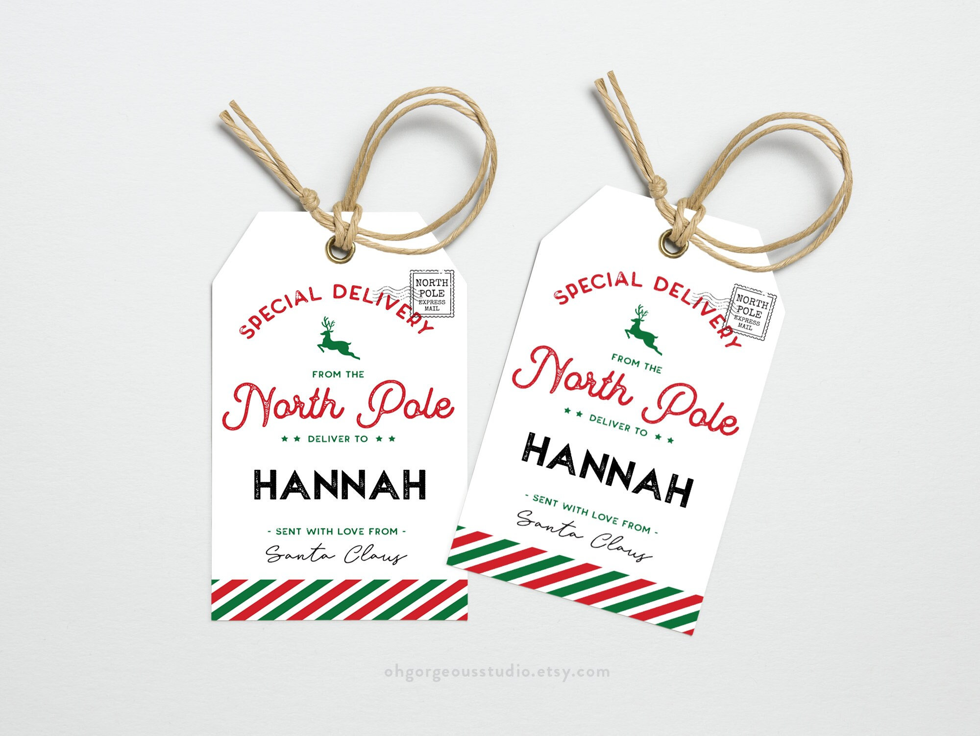 Printable North Pole Special Delivery Tag Template Editable Santa Gift ...