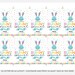 Printable Kids Easter Bunny Tag Template You Are Some Bunny Special ...