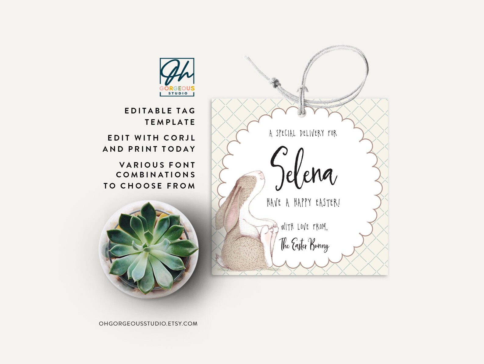 Editable Easter Bunny Gift Tag Template (digital Download) - Etsy