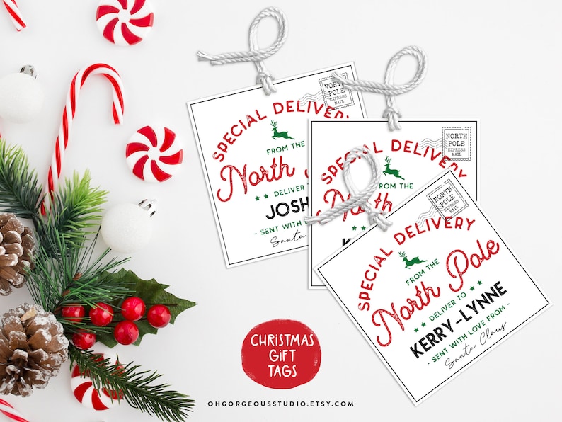 Printable North Pole Special Delivery Tag Template Editable Santa Gift ...