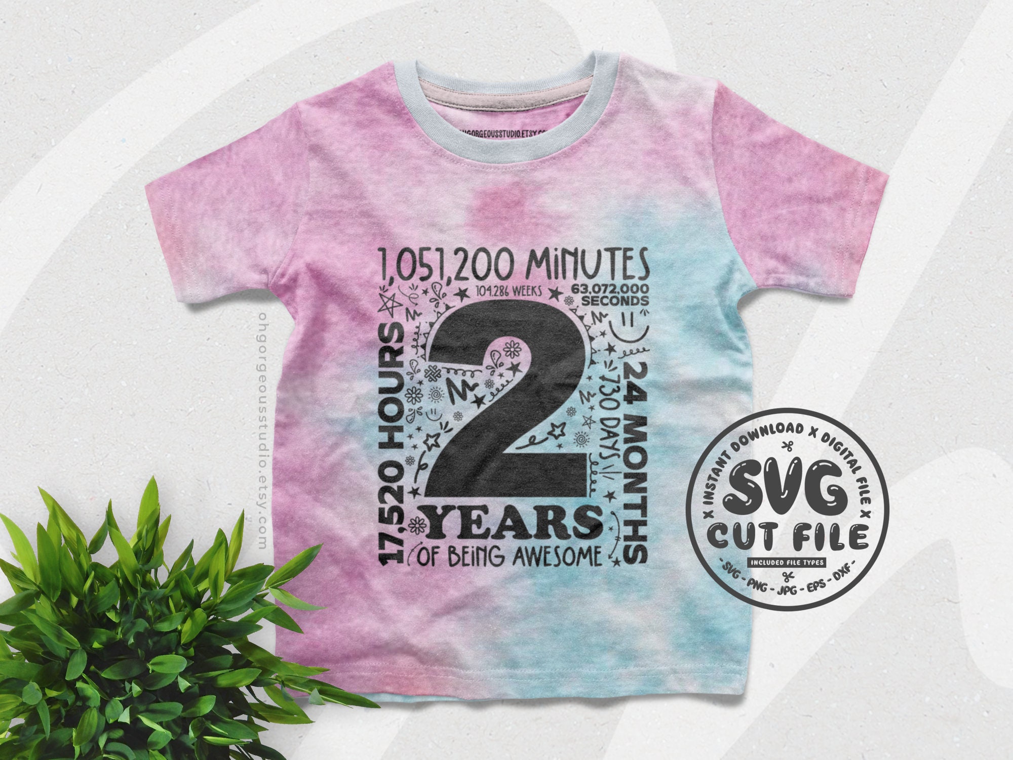 2 Years Kids SVG Digital Download Custom 2nd Birthday Shirt - Etsy