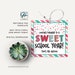 Printable Back to School Tag: Sweet School Year, Editable Template (PDF ...