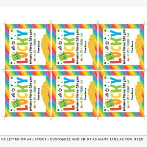 Editable St. Patrick's Day Gift Tag | Happy St. Patrick's Day Tag, St ...