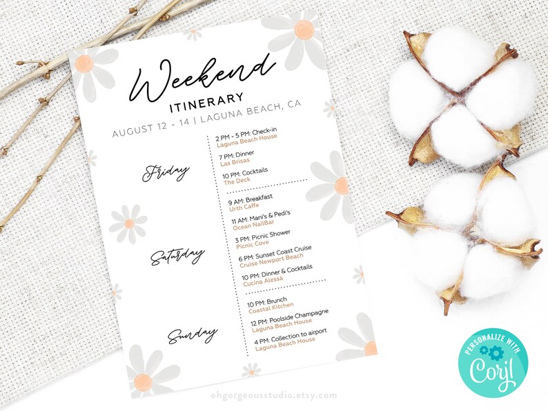 Printable Simple Itinerary Template Editable Hens Party - Etsy