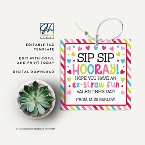 Ex-straw Fun Valentine's Day Gift Tag | Sip Sip Hooray Valentine Hang ...