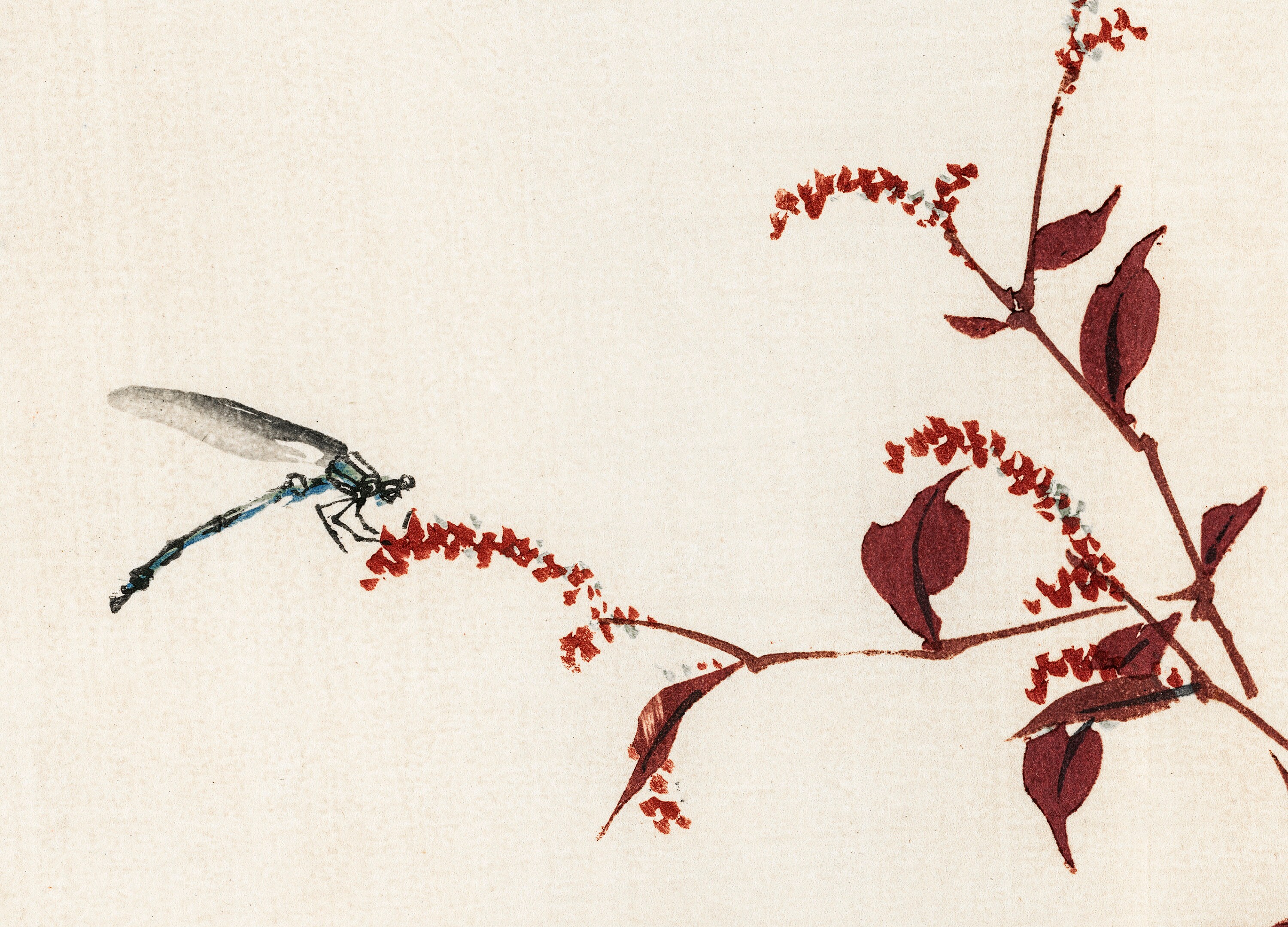 Vintage Japanese Art Print, Dragonfly Illustration by Kōno Bairei ...
