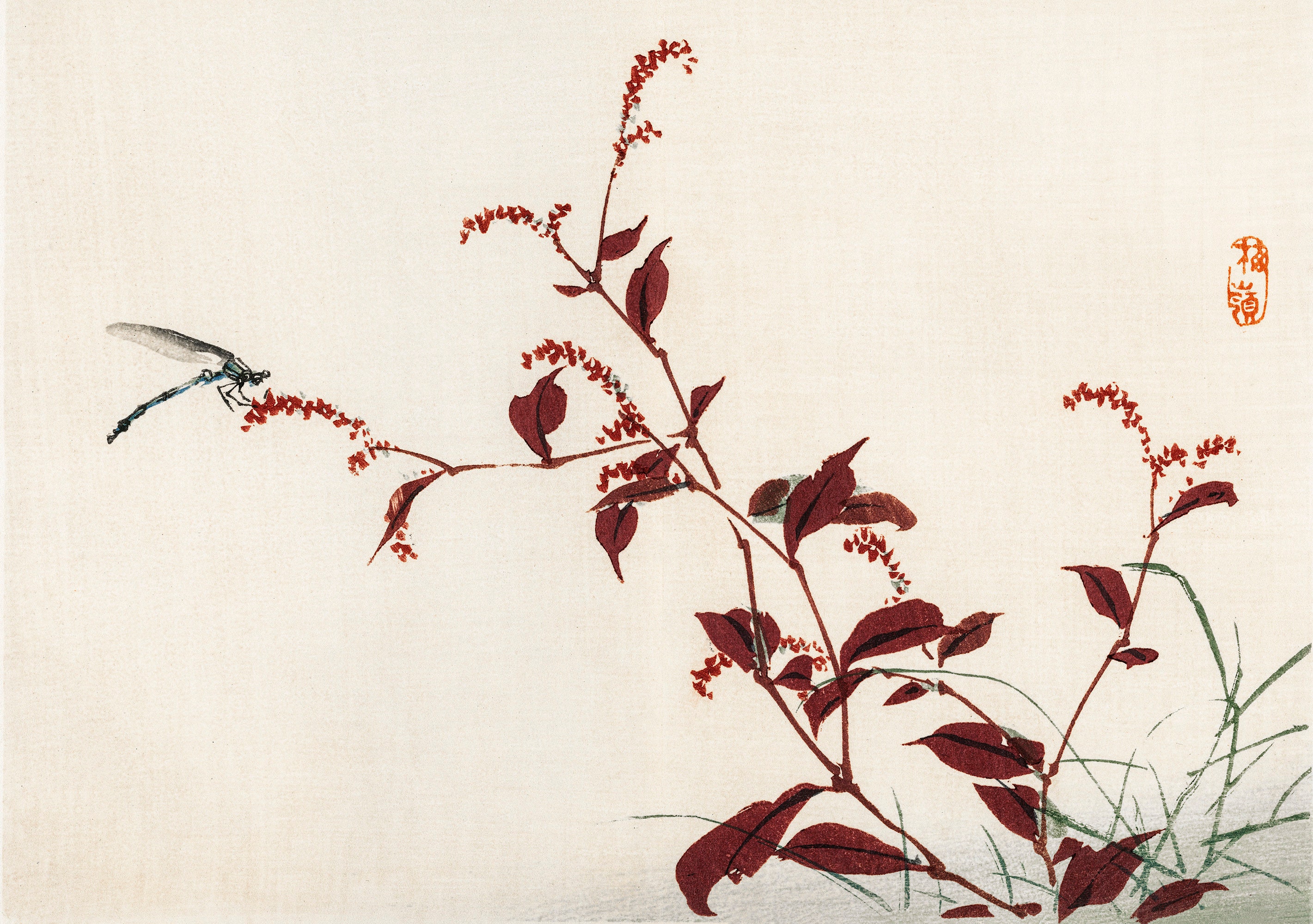 Vintage Japanese Art Print, Dragonfly Illustration by Kōno Bairei ...