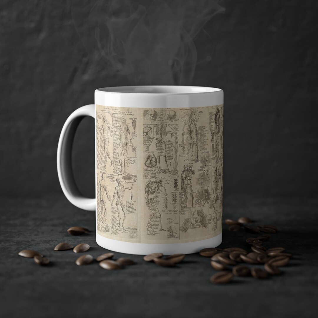 ANATOMY MUG - Etsy