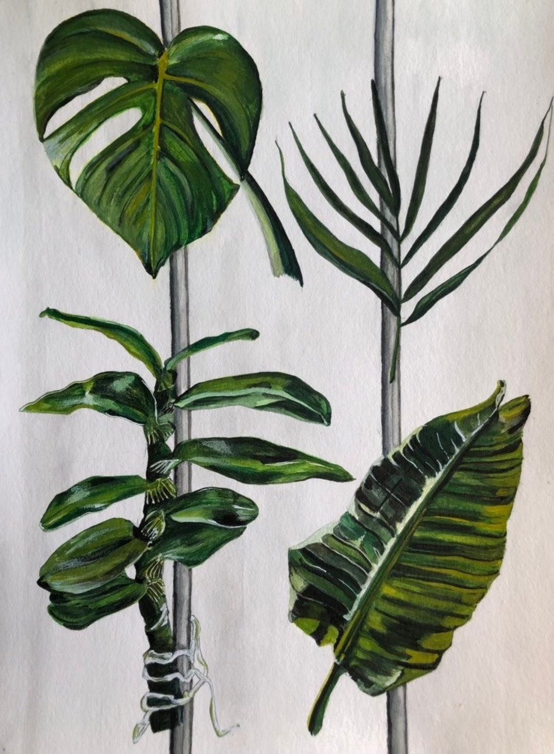 Monstera / House Plant Portraits 2022 Landscapesbylucyart - Etsy
