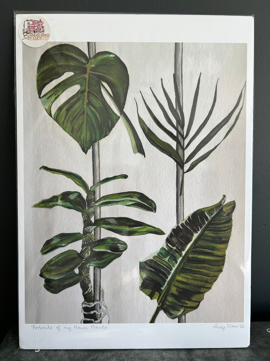 Monstera / House Plant Portraits 2022 Landscapesbylucyart - Etsy