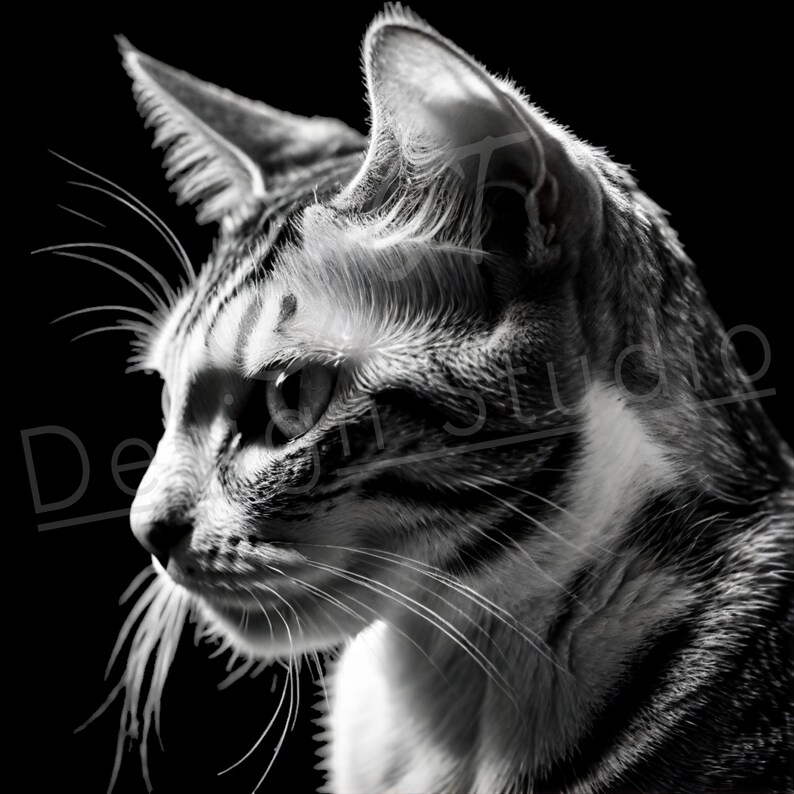 Artistic Cat PNG / PNG Laser Engraving File for Slate / Digital Design ...