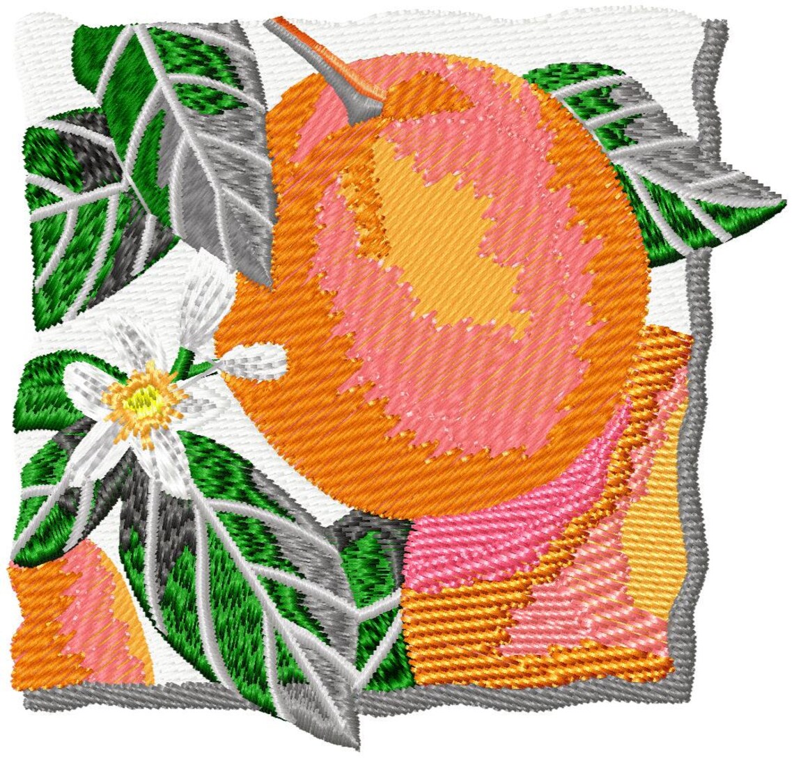 Fruit Frame Patch Embroidery Design Bundle - Fruit Bunch Monogram ...