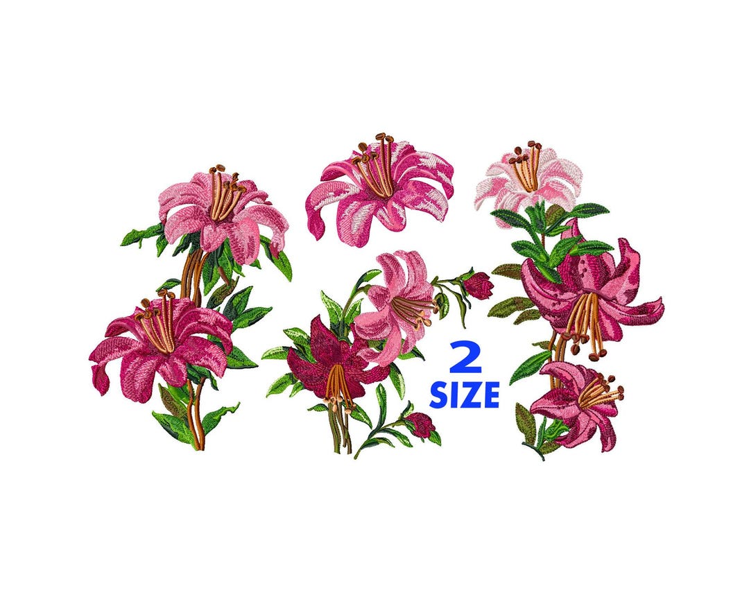 4+ Floral Lily Embroidery Design Bundle - Hibiscus Embroidery Designs ...