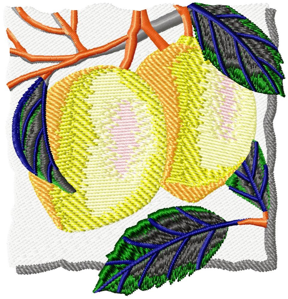 Fruit Frame Patch Embroidery Design Bundle - Fruit Bunch Monogram ...
