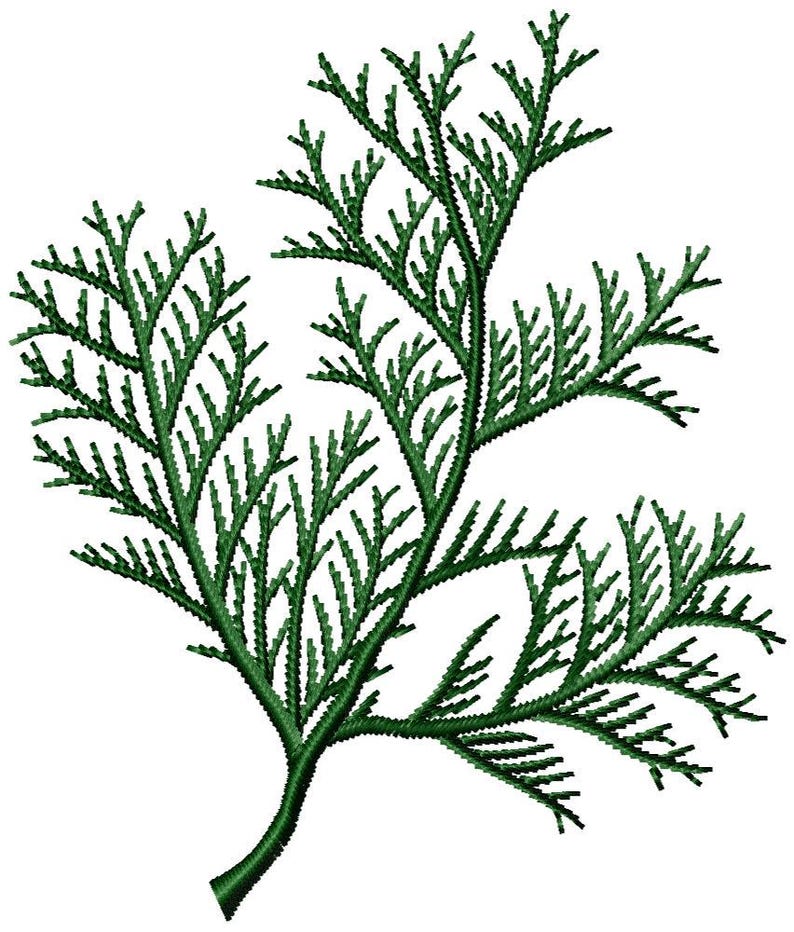 10+ Leaf Embroidery Design Bundle - Forest Leaf Embroidery Designs ...