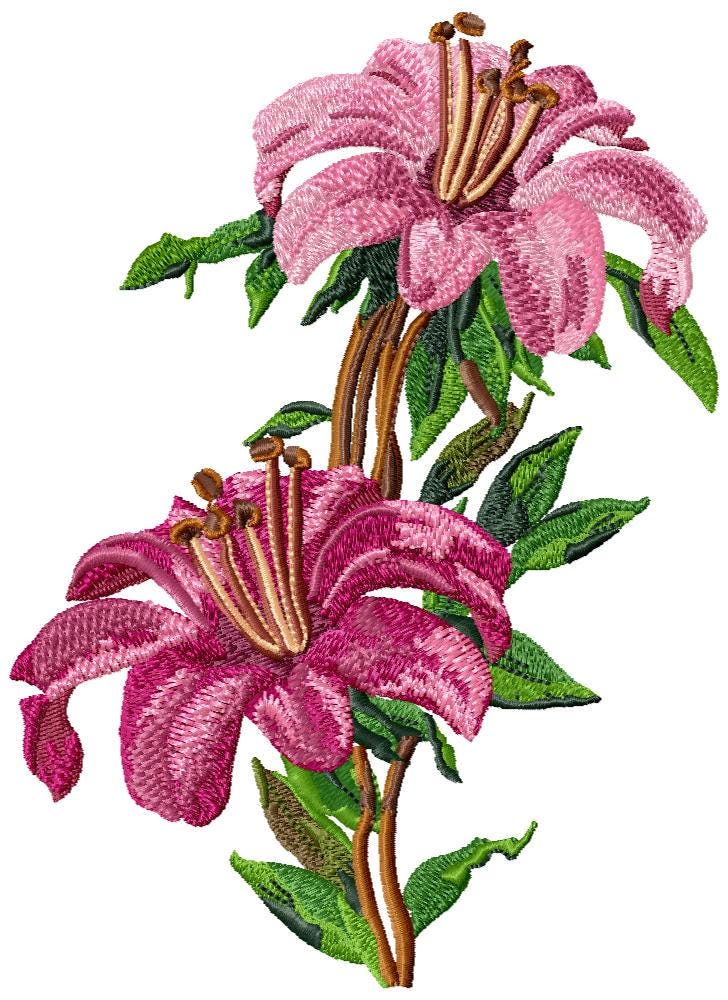 4+ Floral Lily Embroidery Design Bundle - Hibiscus Embroidery Designs ...