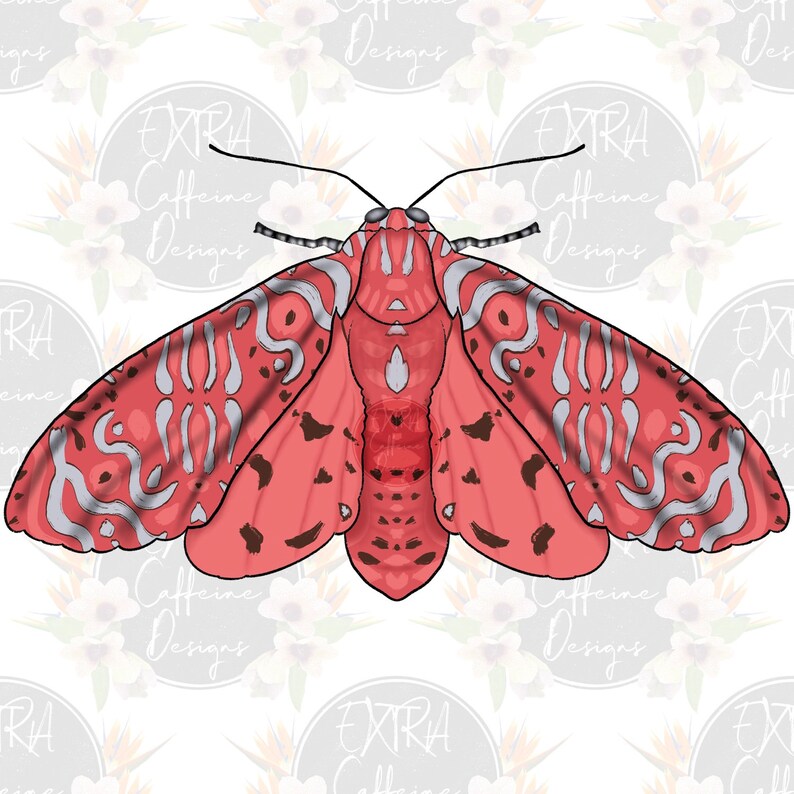 Moth Sublimation PNG Images, 6 Moths, Moth Clip Art PNG, Instant ...