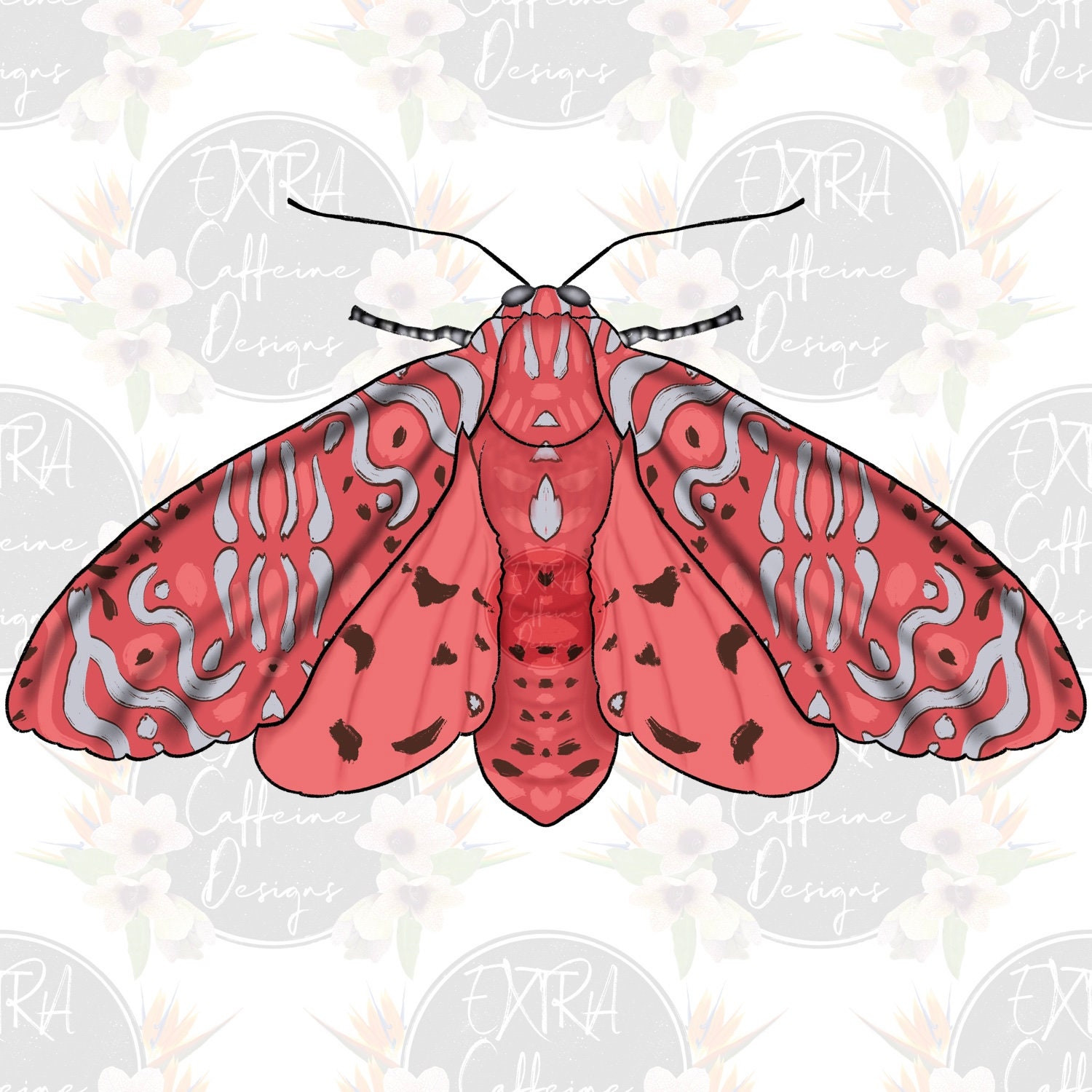 Moth Sublimation PNG Images, 6 Moths, Moth Clip Art PNG, Instant ...
