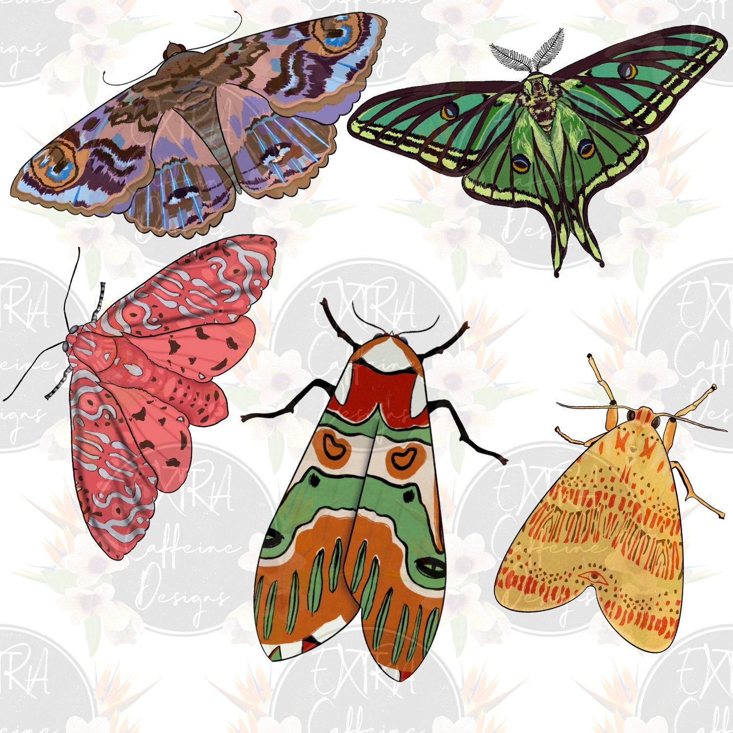 Moth Sublimation PNG Images, 6 Moths, Moth Clip Art PNG, Instant ...