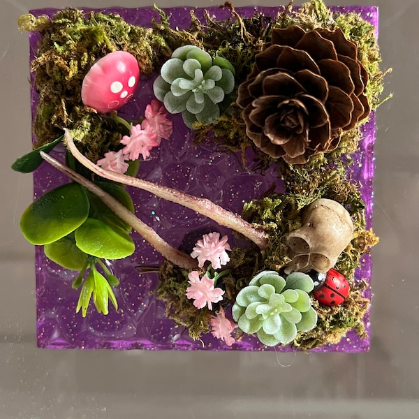 Jumping Spider Enclosure Decor - Etsy