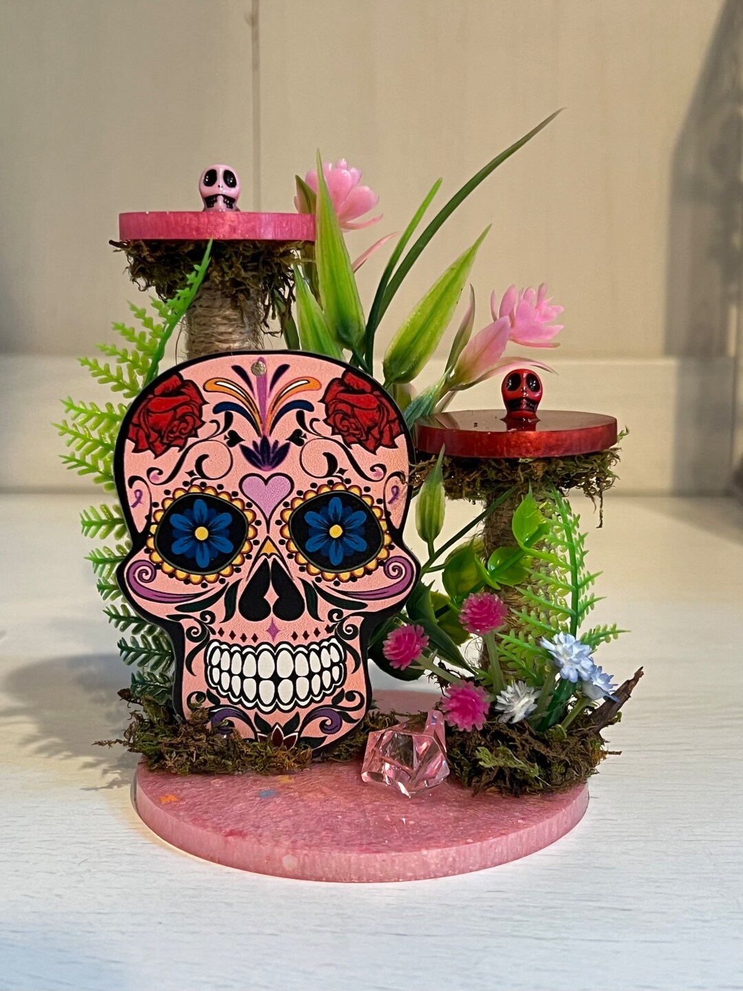 A Jumping Spider Enclosure Play Set,skull Candy, Themed Spider Decor ...