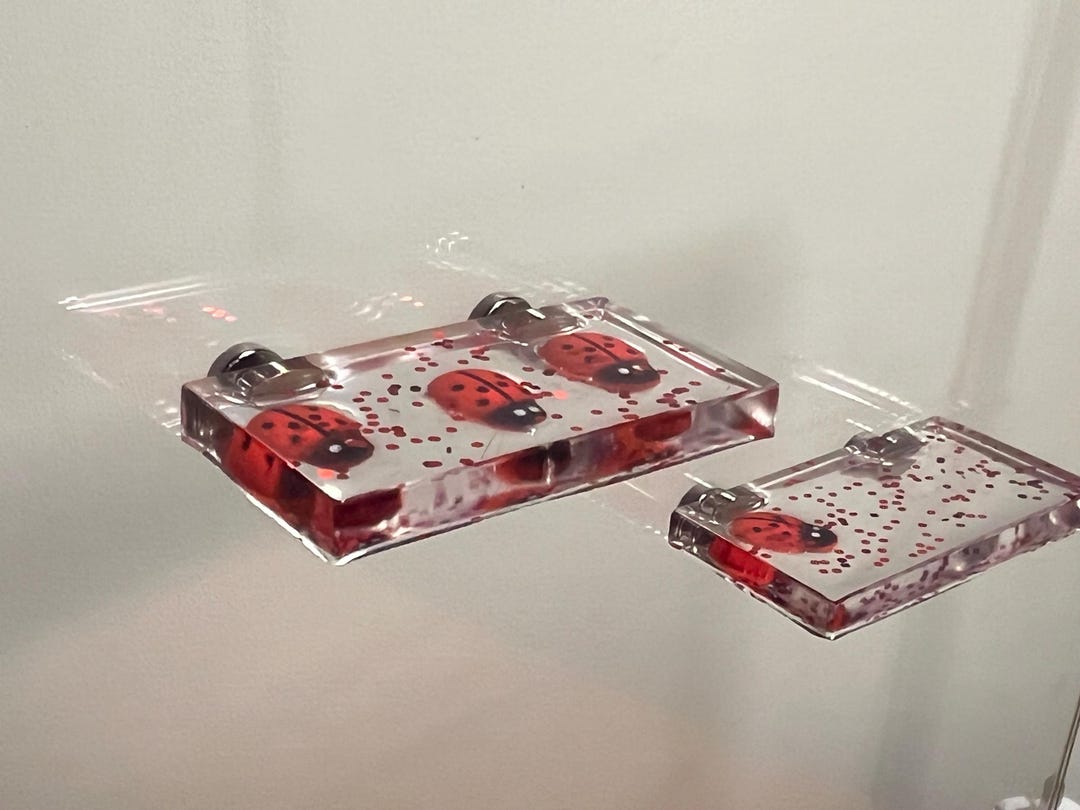 A Set of Ladybug Ledges, Jumping Spider, Enclosure, Decor - Etsy