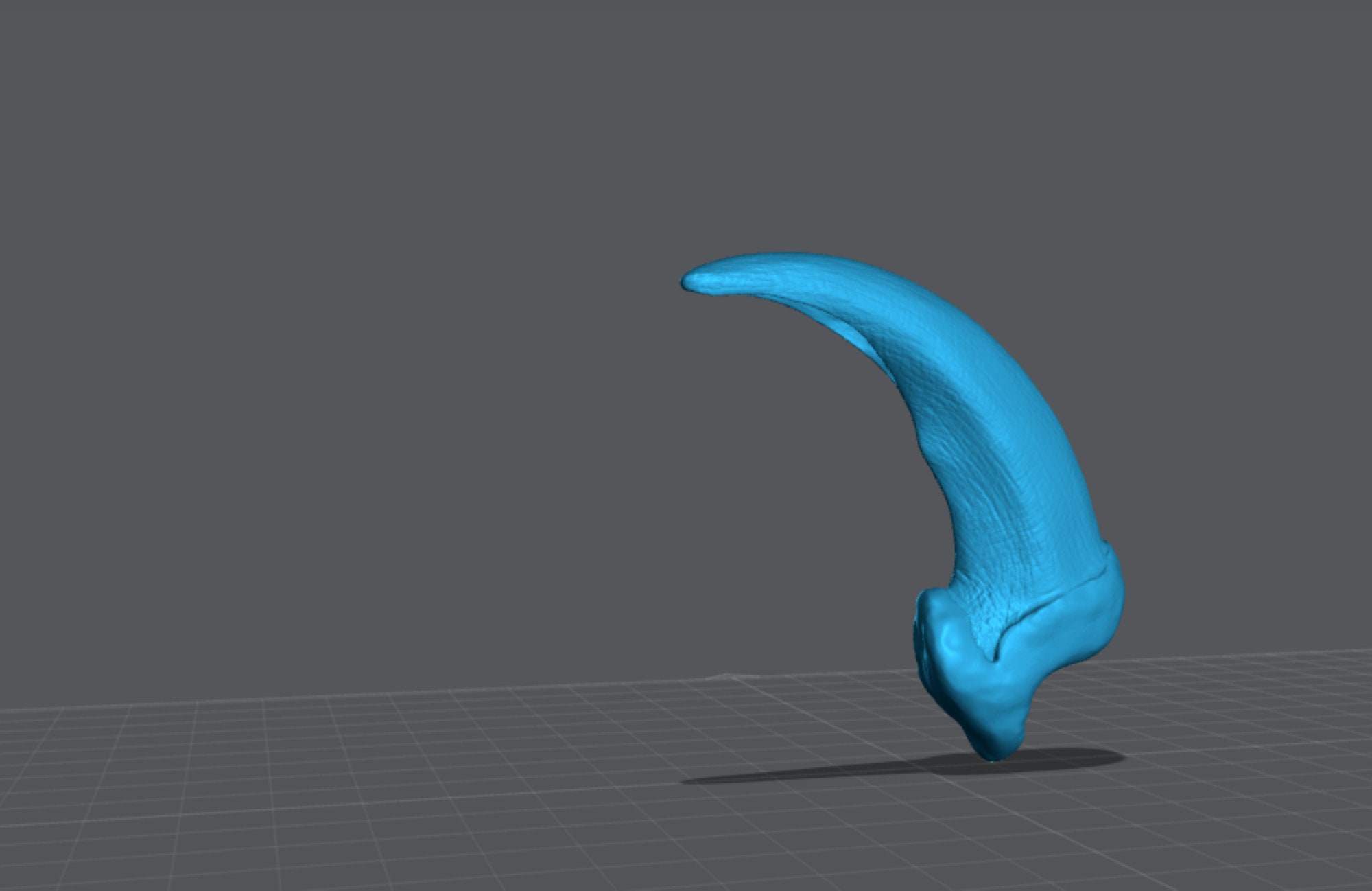 Wolf Claw STL - Etsy