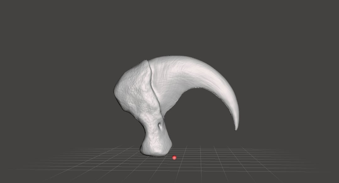 Cat Claw STL - Etsy