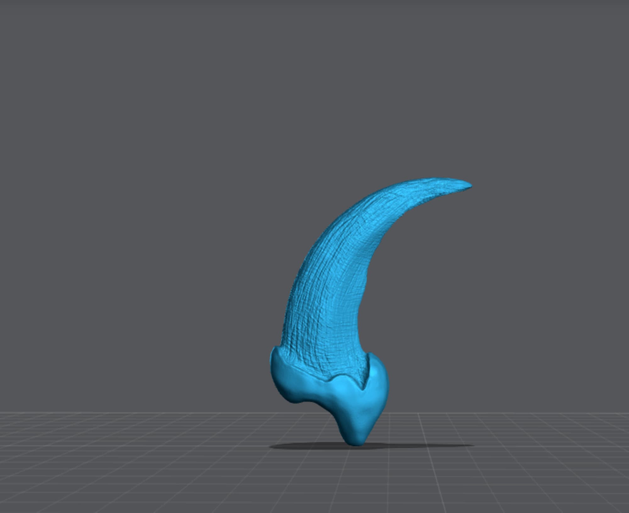 Wolf Claw STL - Etsy