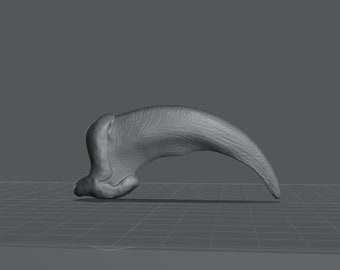 Wolf Claw STL - Etsy