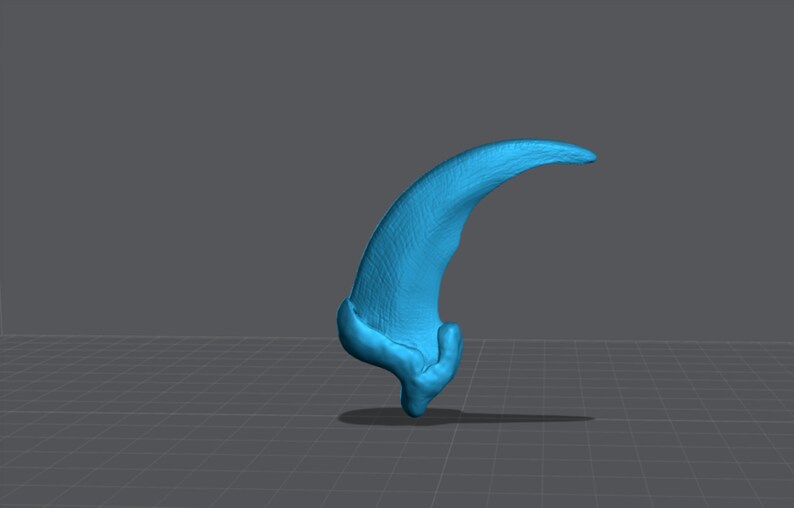 Wolf Claw STL - Etsy