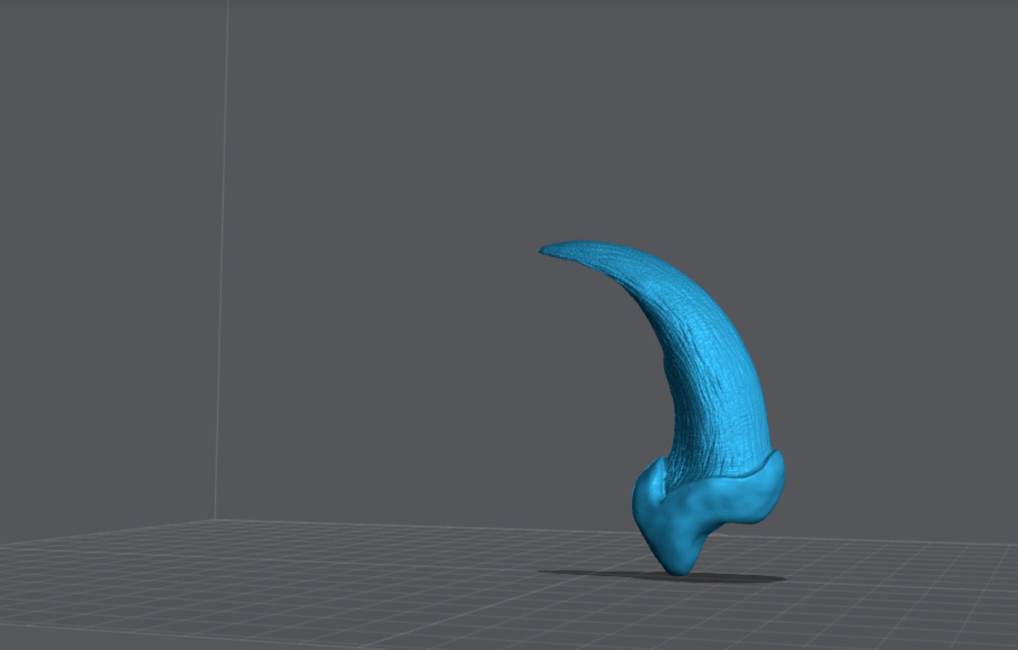 Wolf Claw STL - Etsy