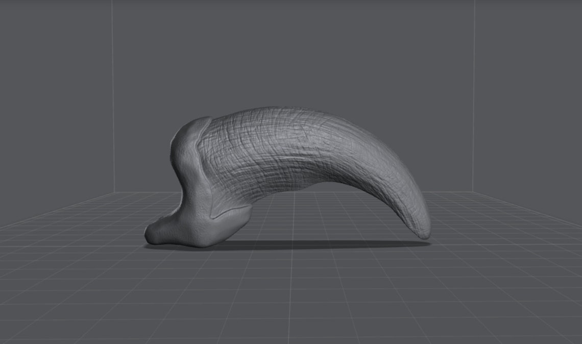 Wolf Claw STL - Etsy