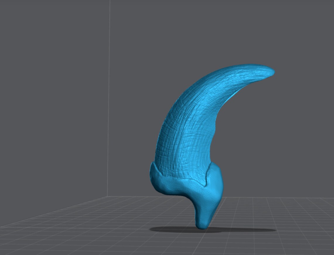 Wolf Claw STL - Etsy