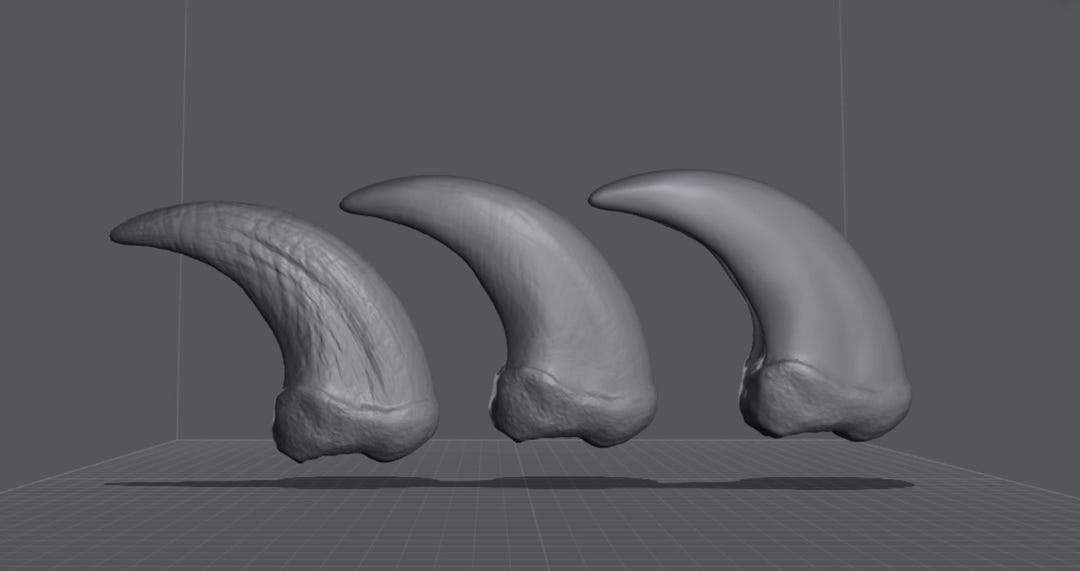 Dinosaur Claw STL - Etsy