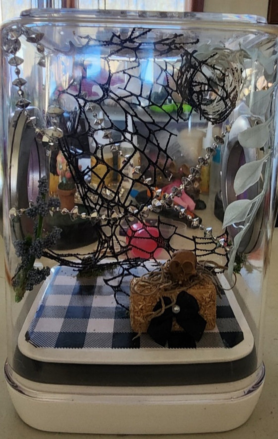 Jumping Spider Enclosure 5.5x4.5 Inside, Decorated, Black & White. FREE ...