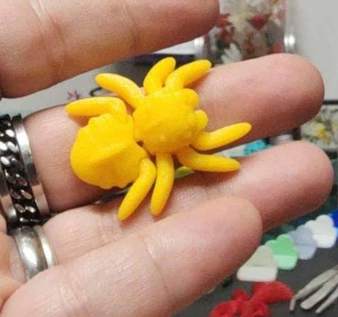 Articulated Jumping Spider Fidget, Stress Toy. Random Color - Etsy